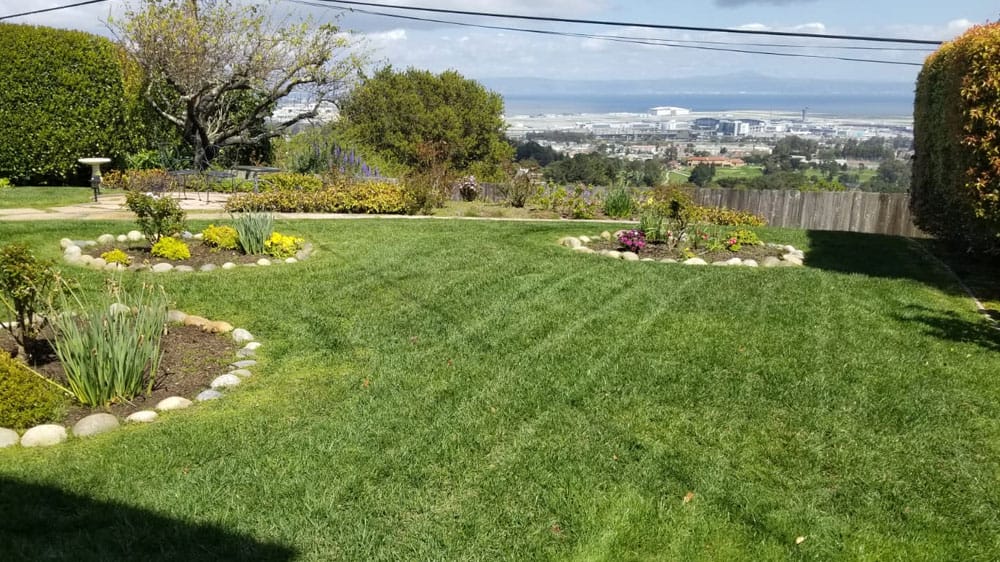 About Rafael Landscaping | Trusted Landscaping Experts
